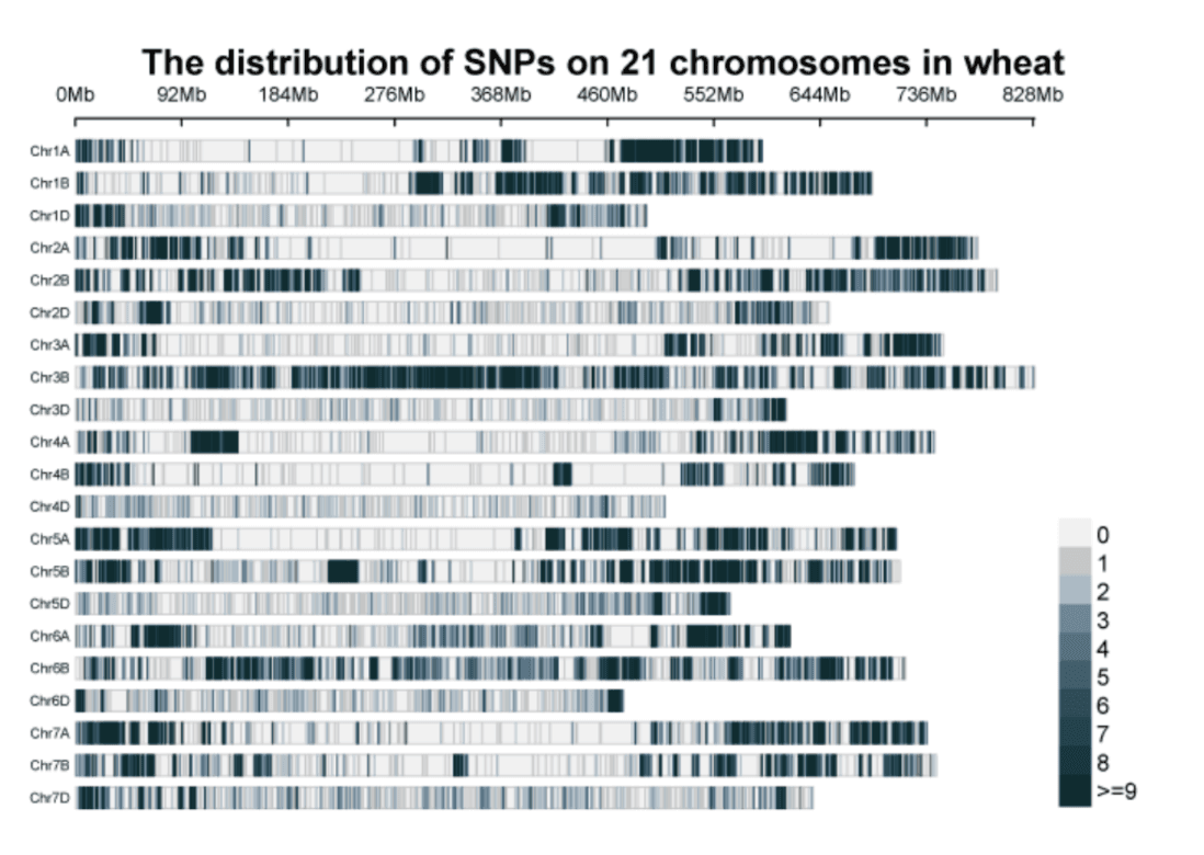 LASOBiotech | Wheat genotyping snp microarray