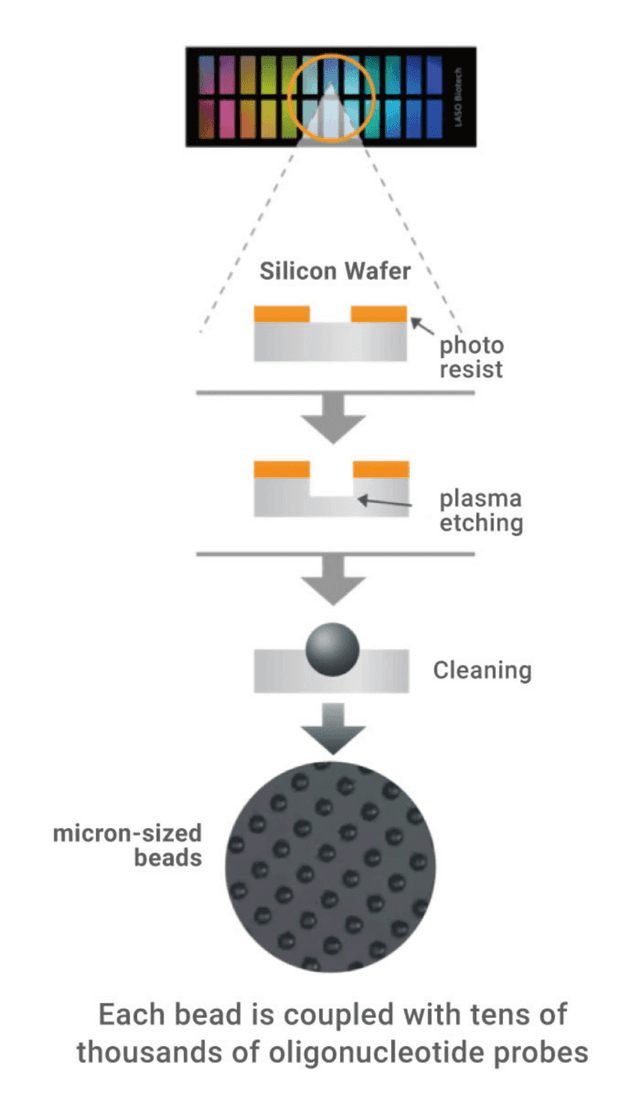 LASOBiotech | custom snp microarray