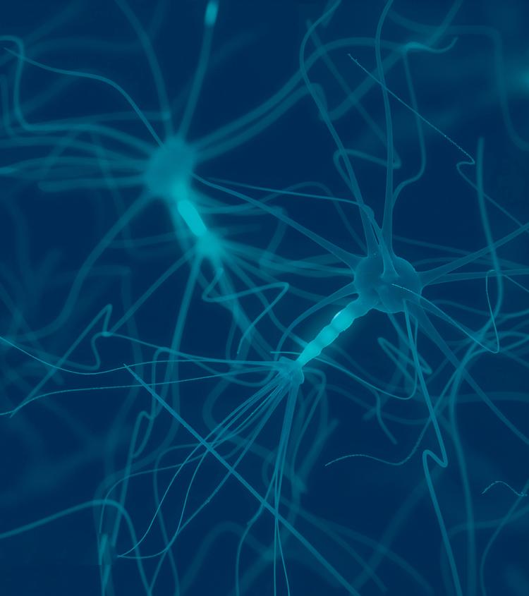 LASOBiotech | SNP microarray service