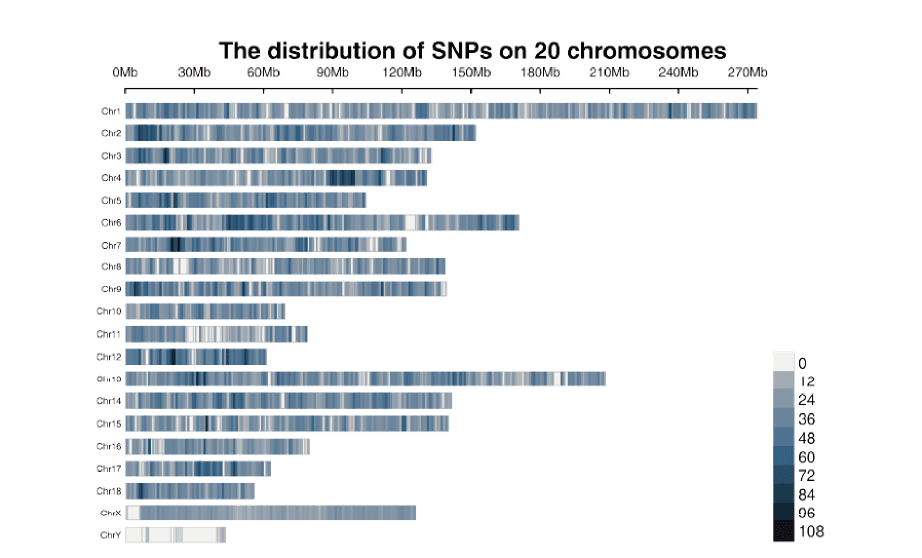 LASOBiotech | porcine genotyping snp microarray