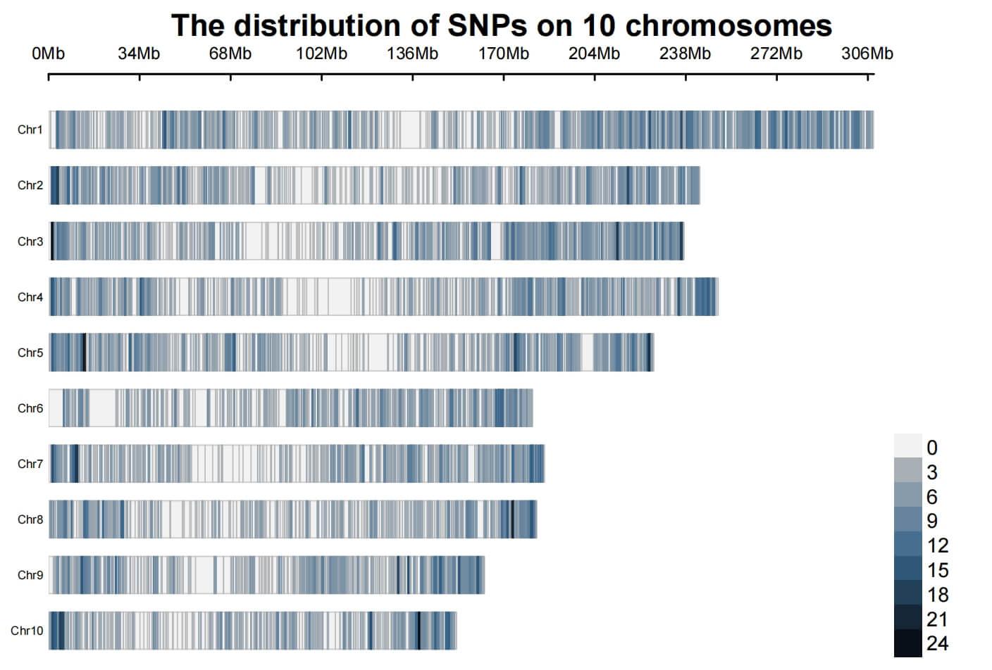 LASOBiotech | maize genotyping snp microarray