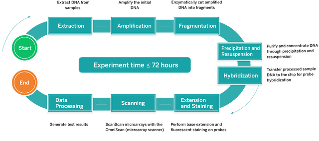 LASOBiotech | microarray workflow